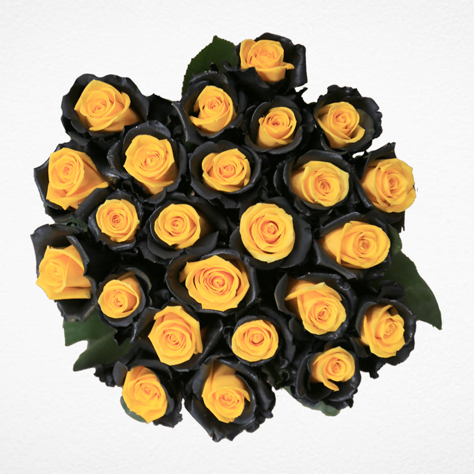 Black and Yellow Roses Wholesale – Rosaholics Wholesale