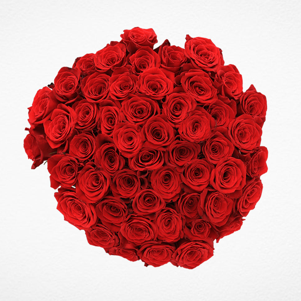 Order Red Roses Online (SOLID) – Rosaholics Wholesale